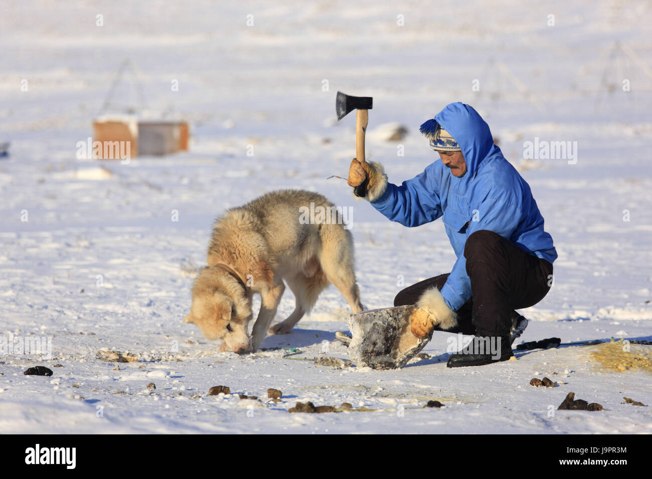 Sled dog houses hi-res stock photography and images - Alamy
