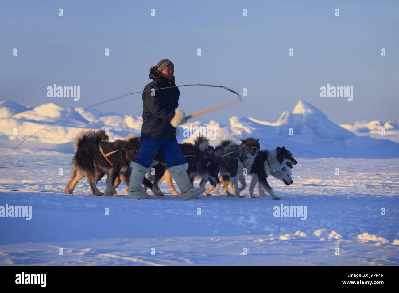 Dog whip hi-res stock photography and images - Alamy