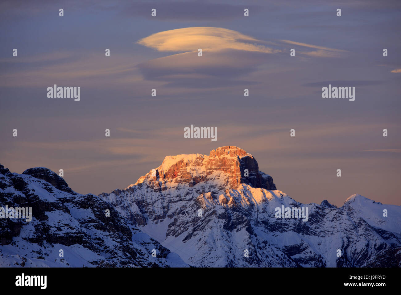 Italy,the Dolomites,province of Belluno,Col Rose Stock Photo - Alamy