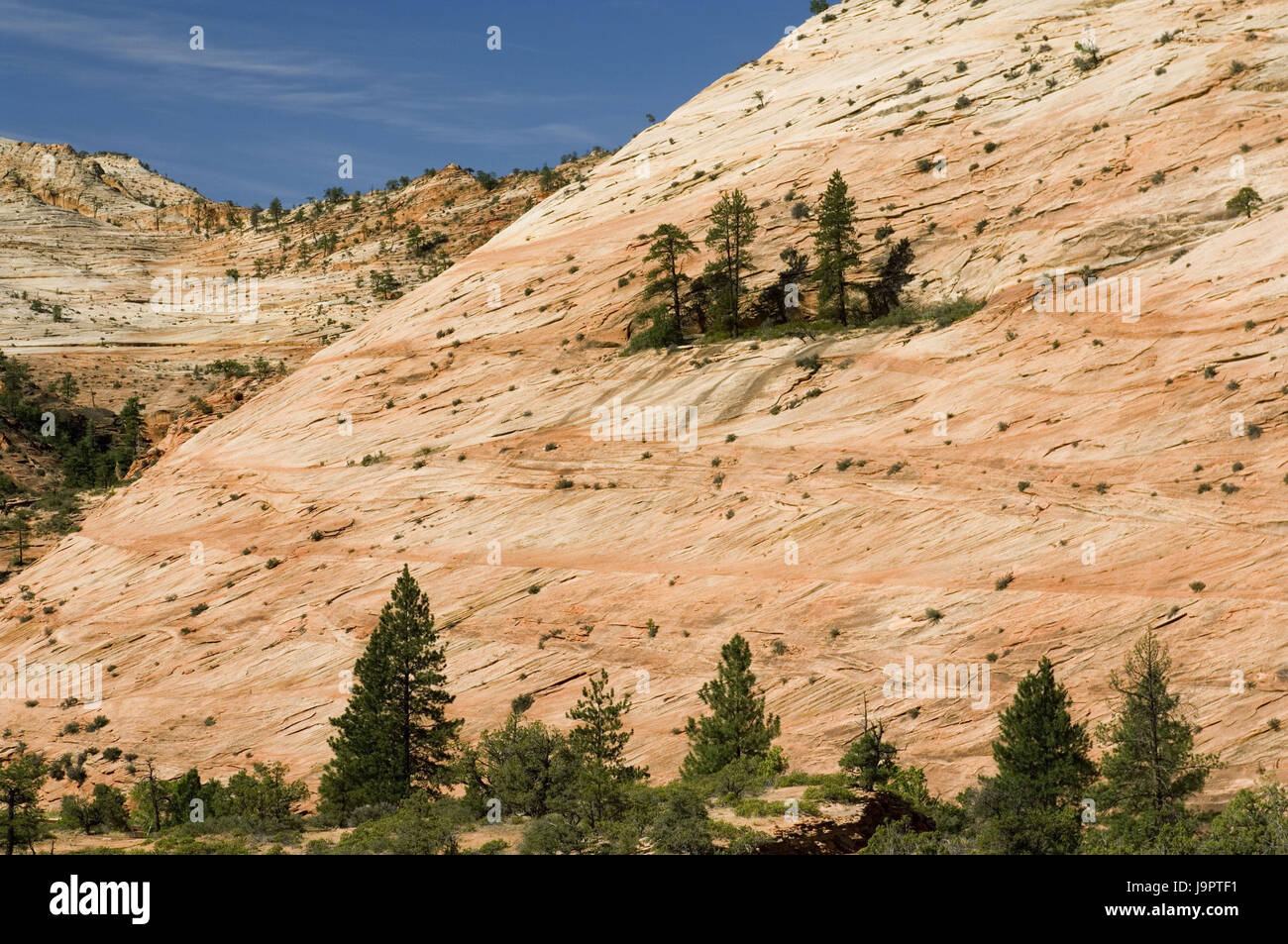 The USA,Utah,Zion national park,rock,trees Stock Photo - Alamy