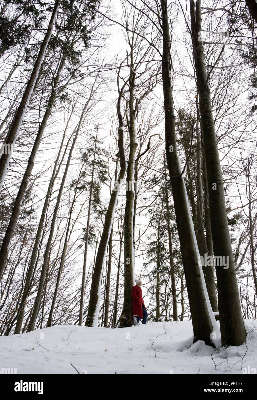 Casing tree hi-res stock photography and images - Alamy