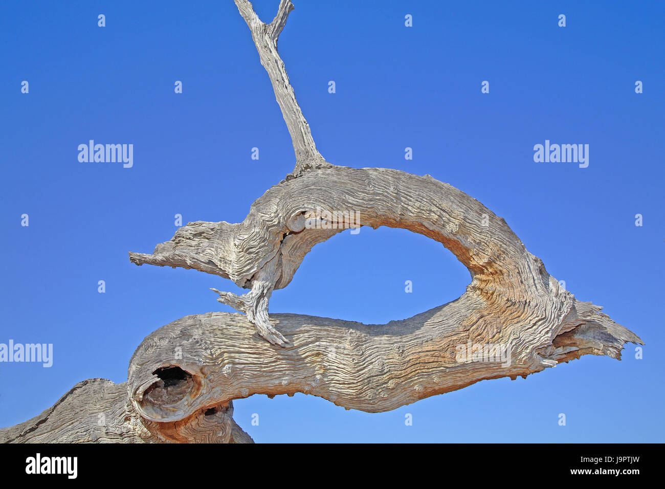 Deadly heat hi-res stock photography and images - Alamy