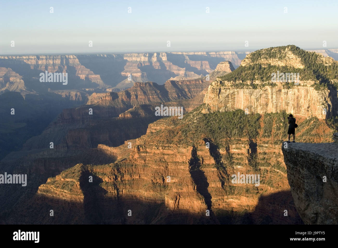 The USA,Arizona,Grand canyon,North Rim Stock Photo - Alamy