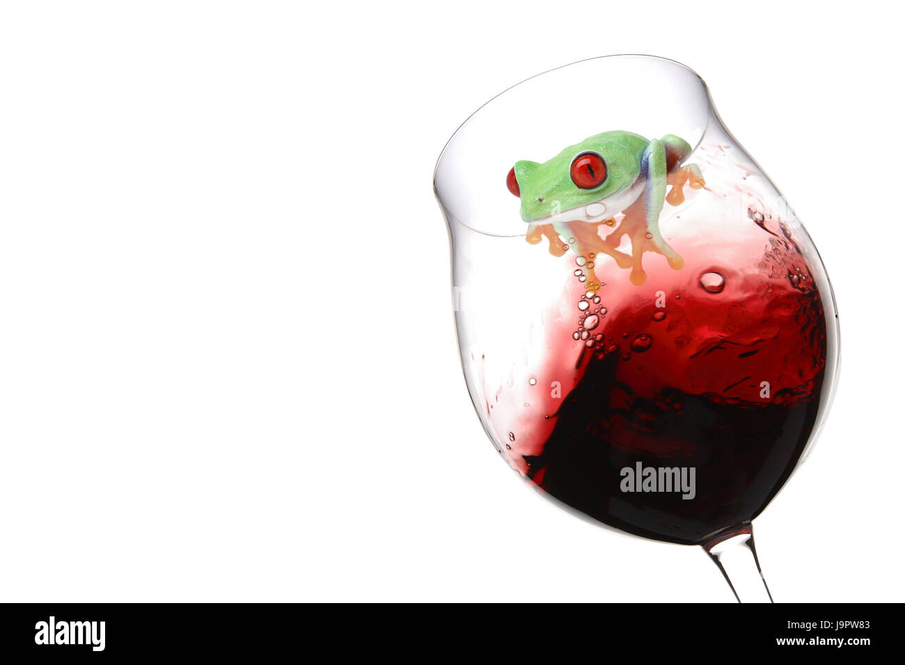 Drunk frog hi-res stock photography and images - Alamy