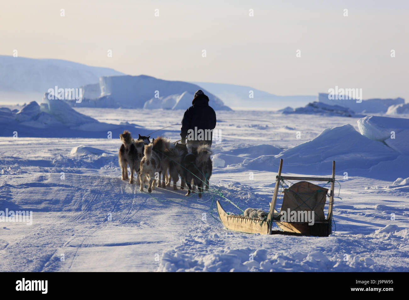 Greenland,Qaanaaq,man,Inuit,sled dog's motorcycle combination,state ...
