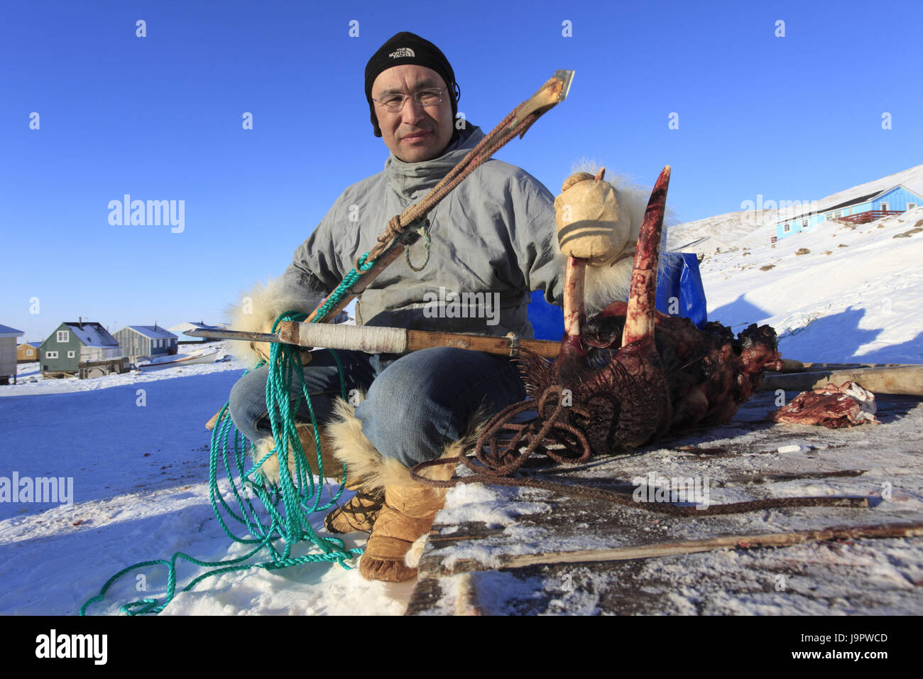 Greenland,Qaanaaq,man,Inuit,weapons,hunting prey,walrus's head,slide ...