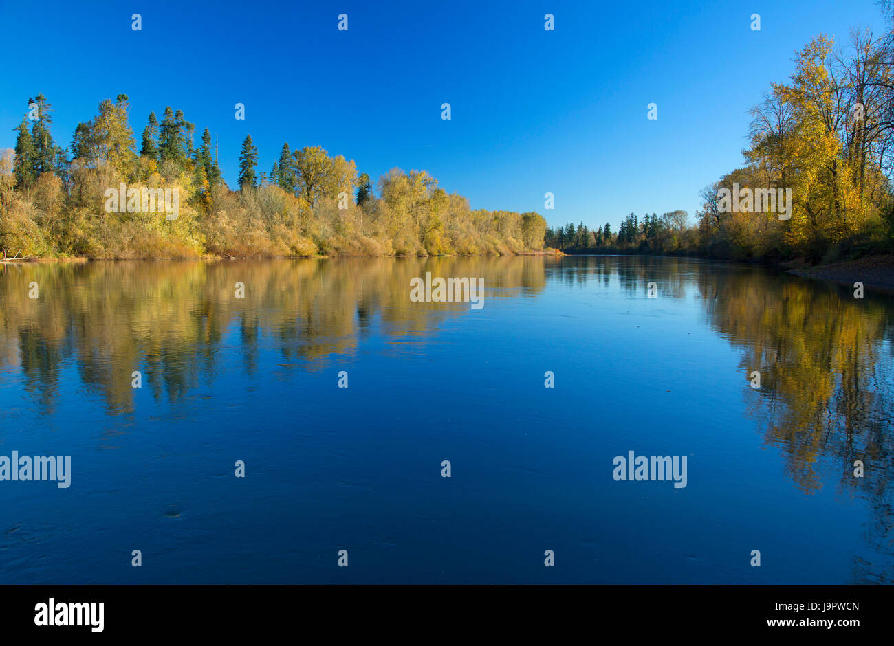 Willamette River, Bowman Park, Albany, Oregon Stock Photo - Alamy