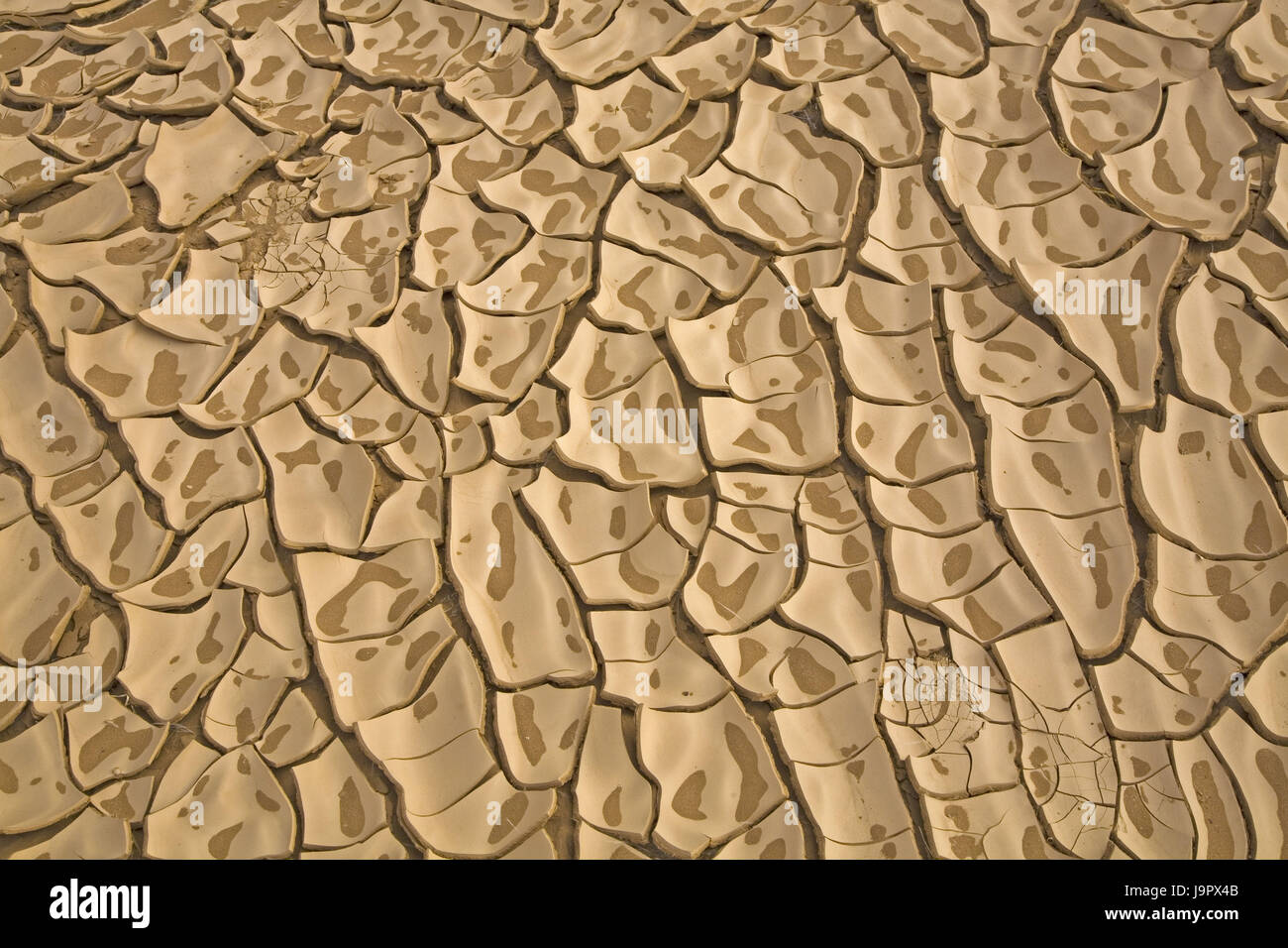 South-West Africa,Namibia,Damaraland,Namib desert,dry flux Messum,dry ...