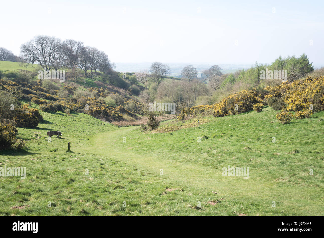 A field and valley at Waseley Hills Stock Photo - Alamy