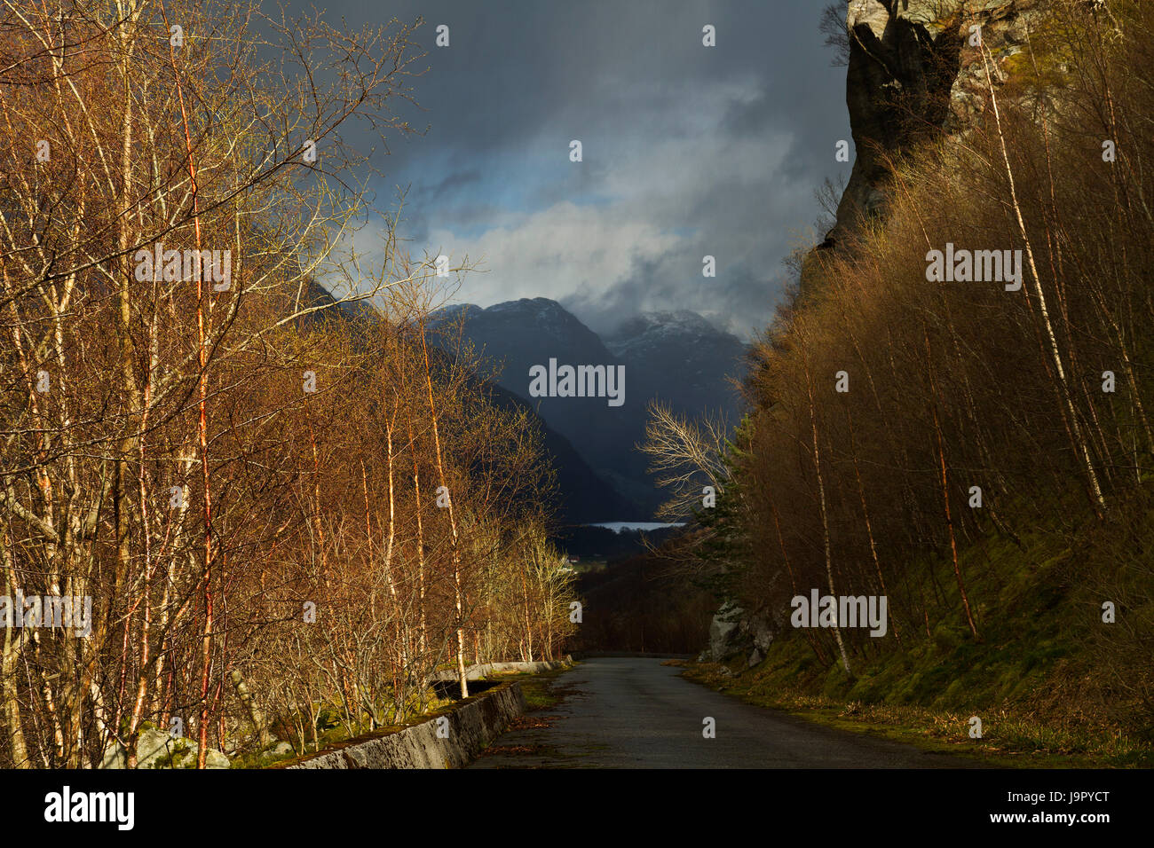 bucolic, outside, unaffected, nobody, scenery, countryside, nature ...