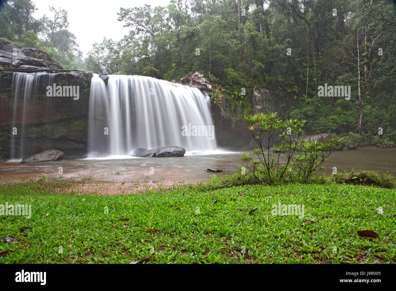 waterfall, tropical, climate, creek, forest, water, fall, leaf, travel ...