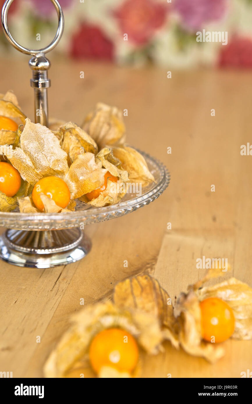 progenies, fruits, roses, biological, fruit, wallpaper, orange, eco ...