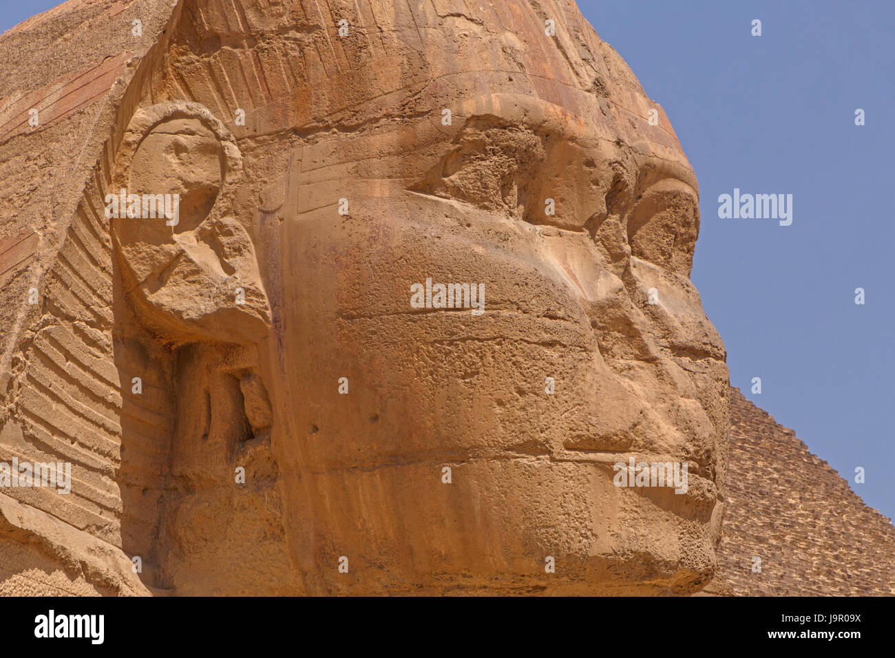 close up of Great Sphinx of Giza Stock Photo - Alamy