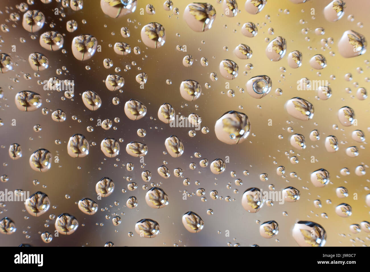 closeup, bubbles, drop, circle, droplet, clean, drip, drops, seeping ...