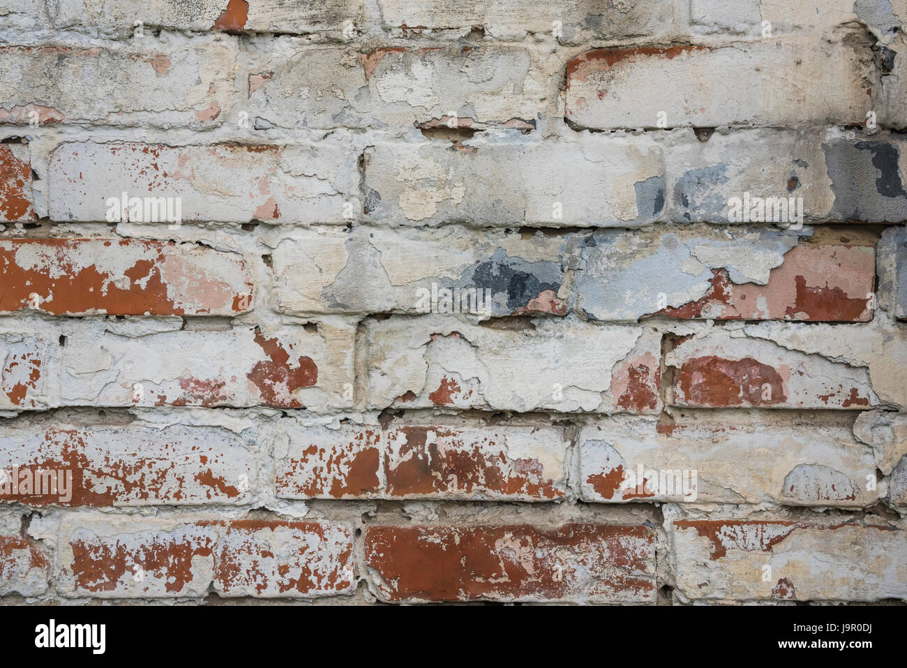 Fragment of whitewashed old brick wall, natural background Stock Photo ...