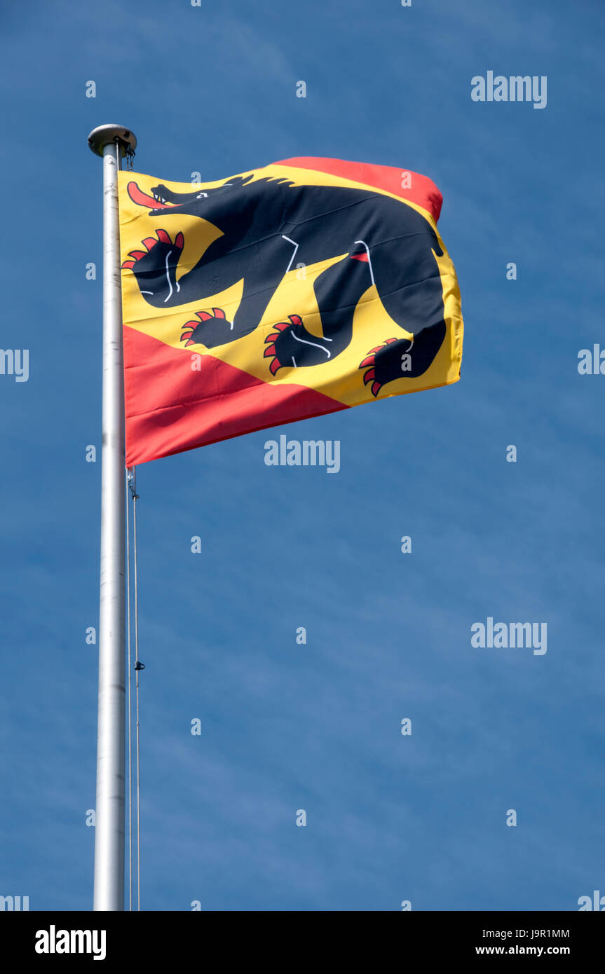 switzerland, flag, emblem, flagstaff, bern, blue, bear, black, swarthy ...