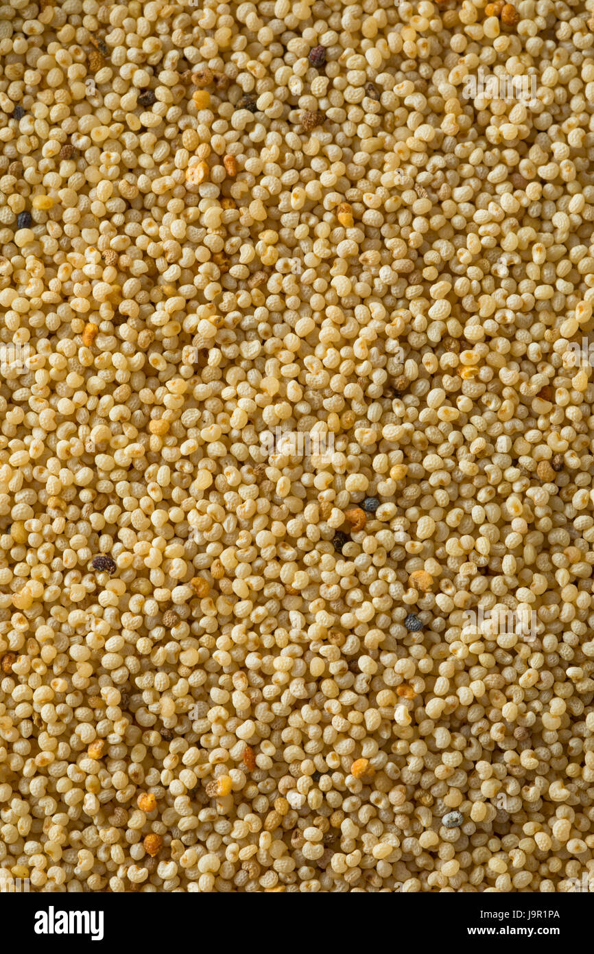 Whole poppy seeds hi-res stock photography and images - Alamy