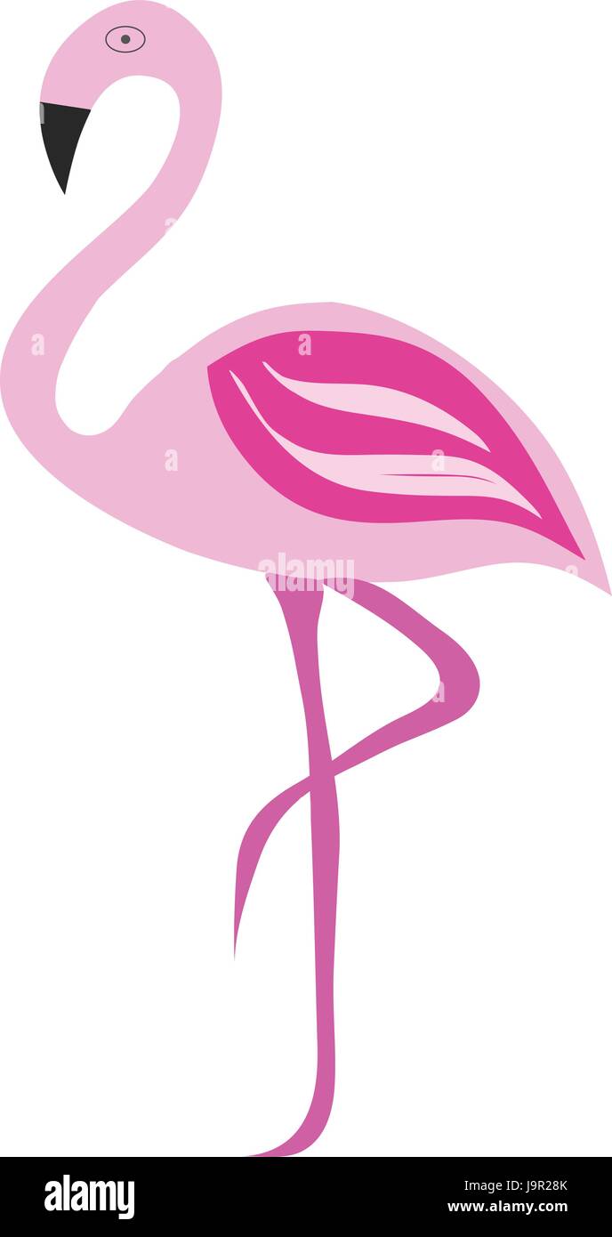 pink flamingo vector illustration Stock Vector Image & Art - Alamy