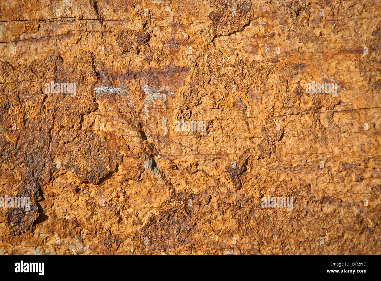 stone, science, ground, soil, earth, humus, brown, brownish, brunette ...