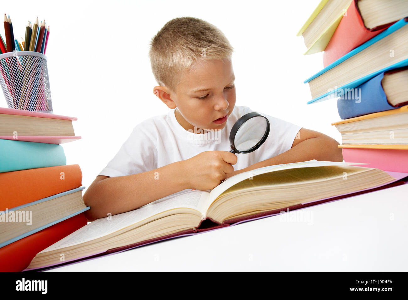 guy, study, humans, human beings, people, folk, persons, human, human ...