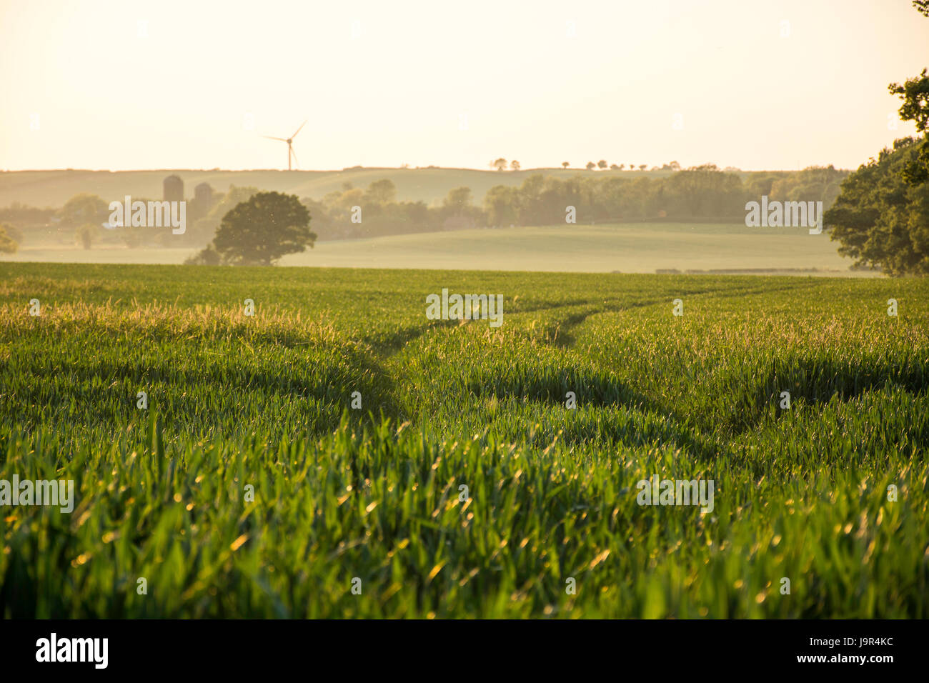 Leicestershire landscape hi-res stock photography and images - Alamy
