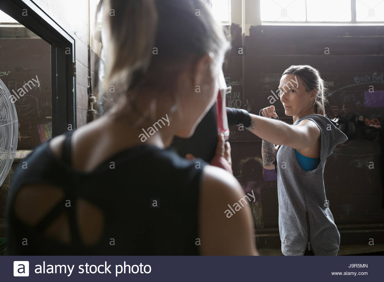 Female boxers training at punching bag in gritty gym Stock Photo - Alamy