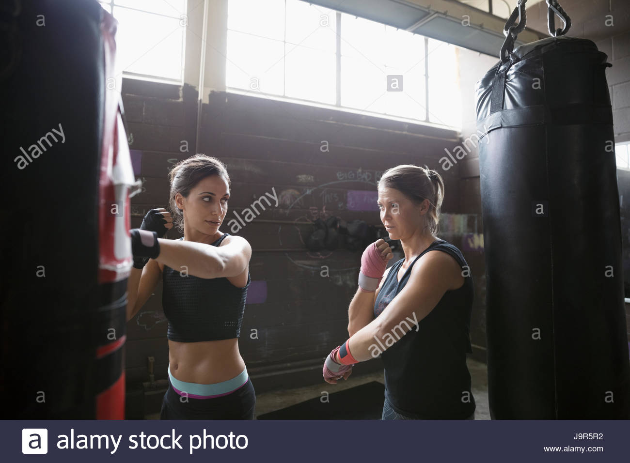 Female boxers training at punching bags in gritty gym Stock Photo - Alamy