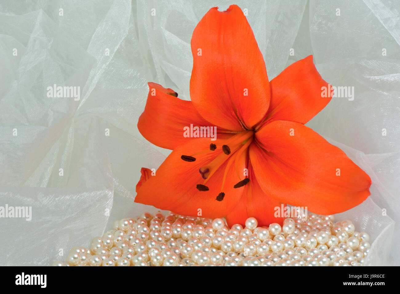 Woman white flower pearls hi-res stock photography and images - Alamy