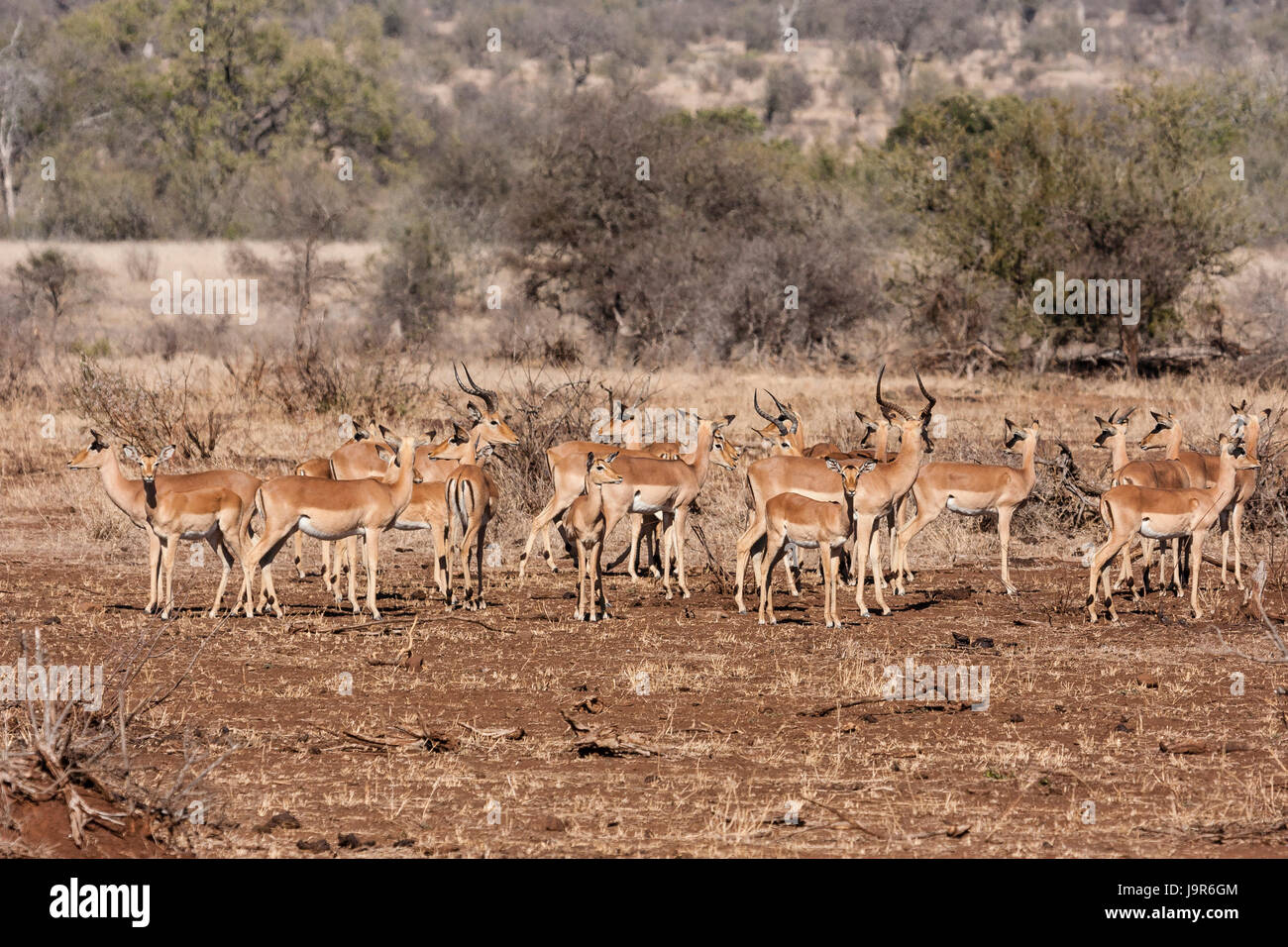 Transverse step hi-res stock photography and images - Alamy