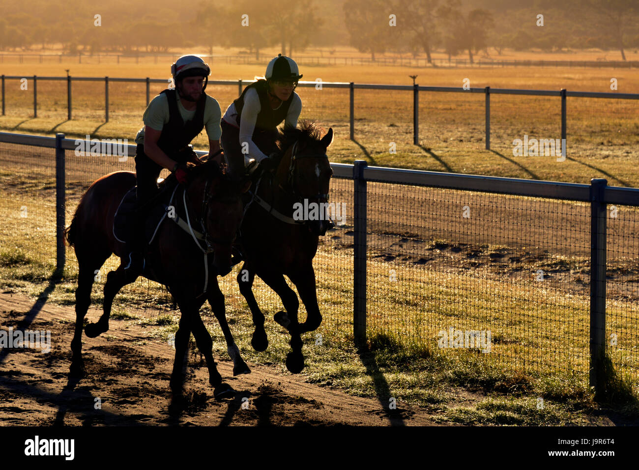 Thoroughbred race horse training farm in Western Australia Stock Photo ...