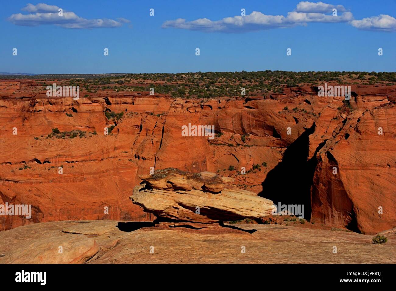 desert, wasteland, national park, Canyon, cliff, park, desert ...