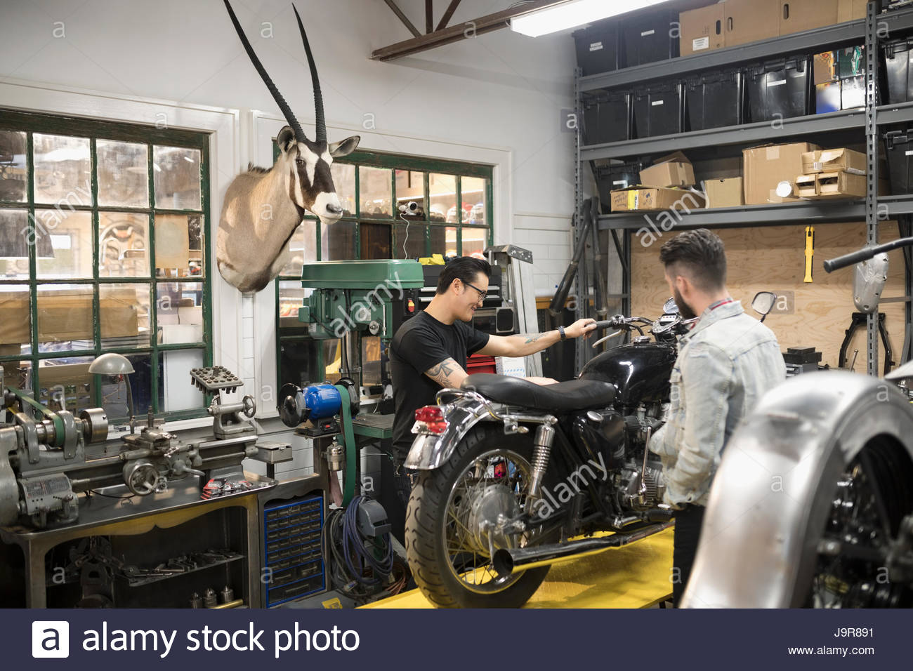 Animal mechanic hi-res stock photography and images - Alamy
