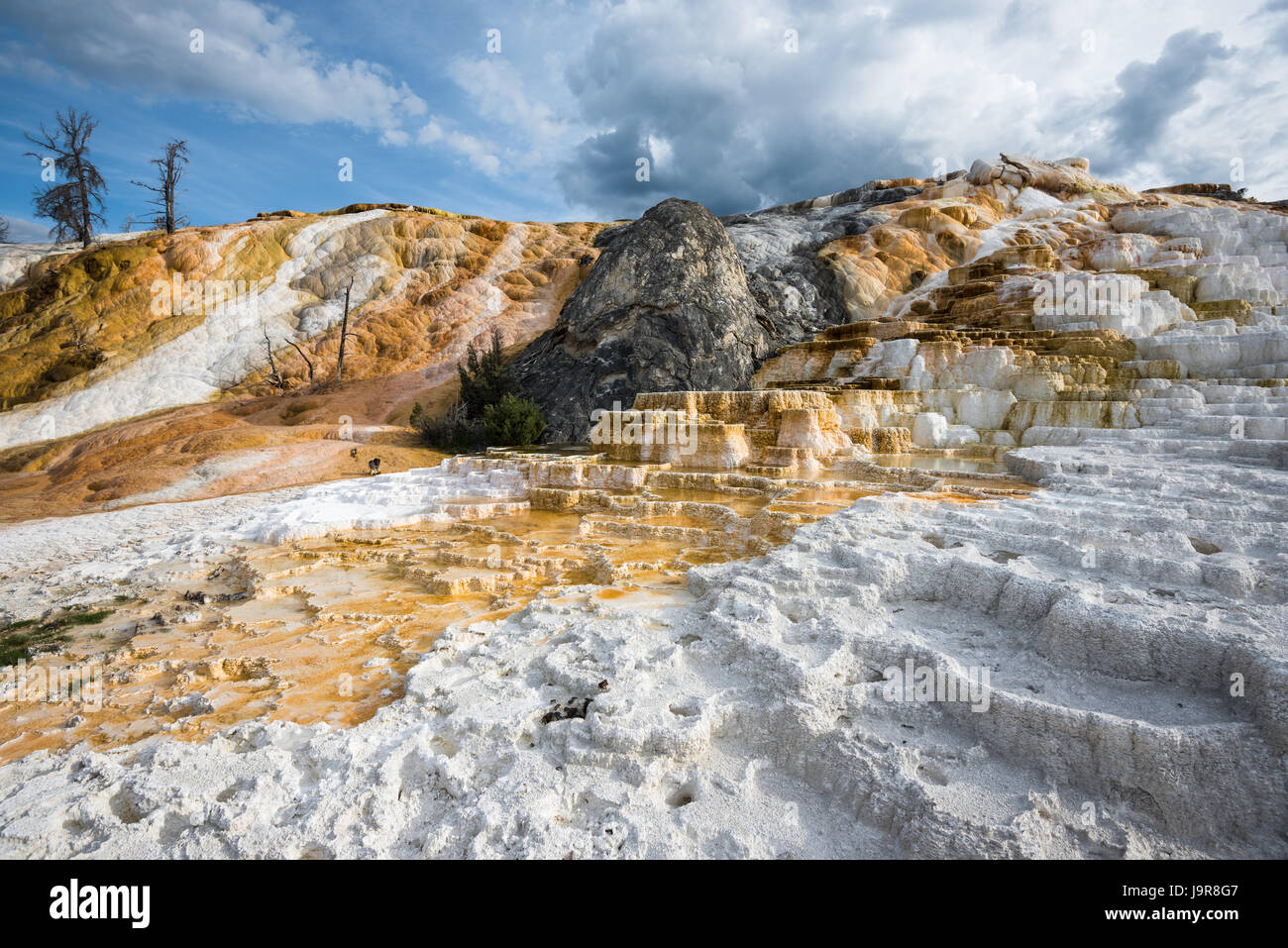 A view of the travertine terraces at Mammoth Hot Springs, in ...