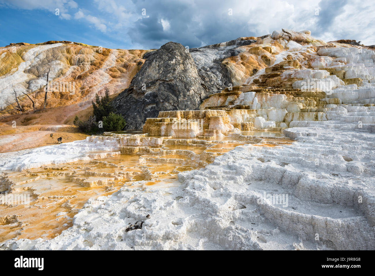A view of the travertine terraces at Mammoth Hot Springs, in ...