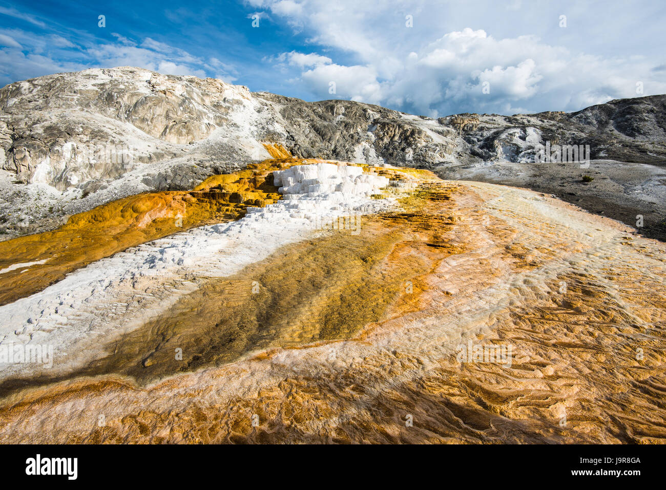 A view of the travertine terraces at Mammoth Hot Springs, in ...