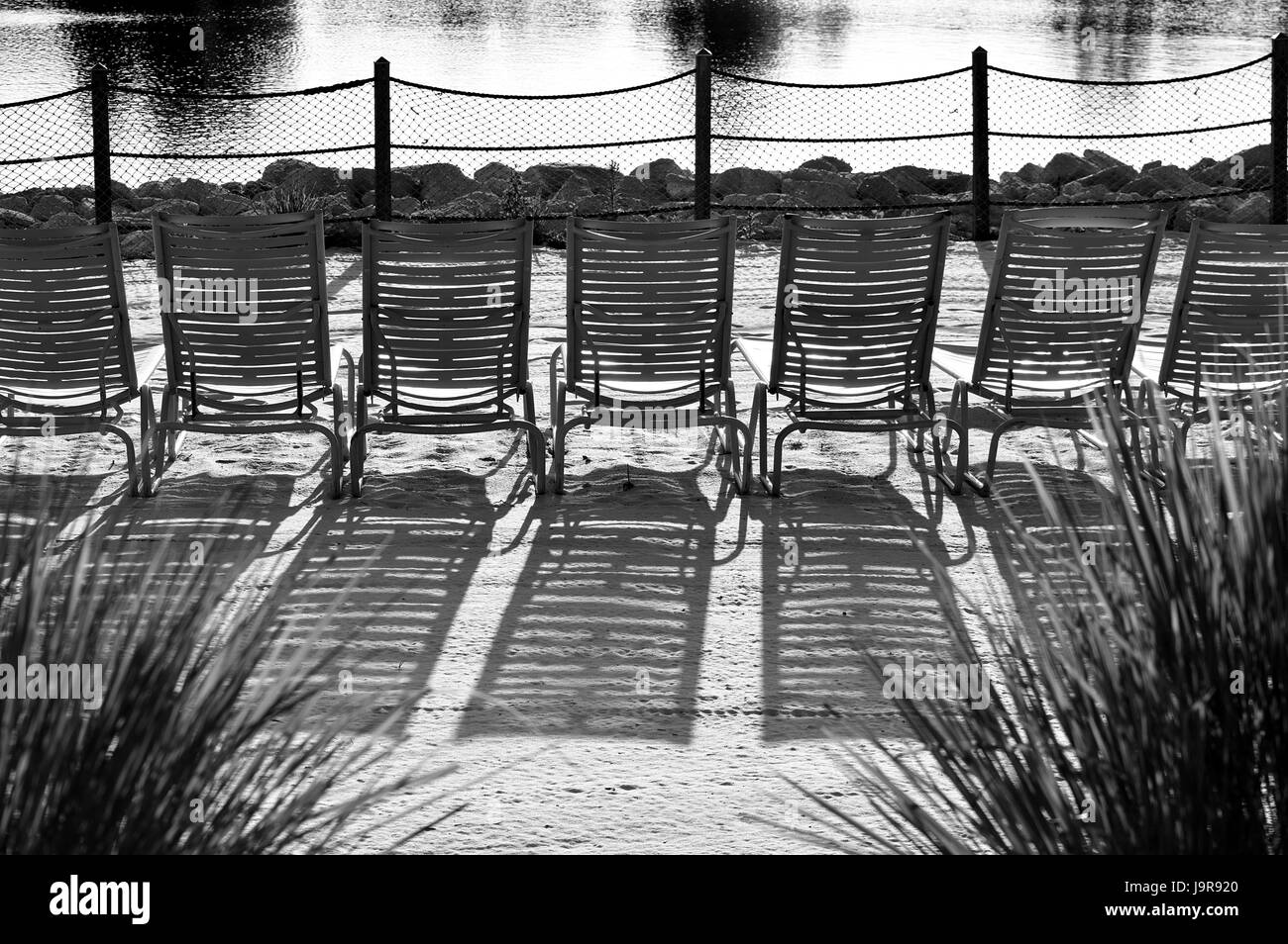 Chairs lined up in a beach against the sunlight and with its shadows ...