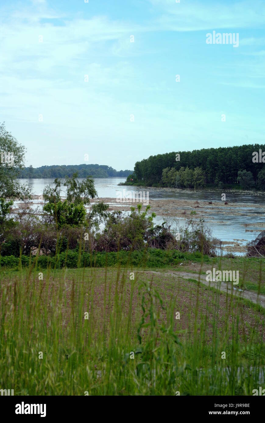 environment, enviroment, tree, float, dirt, surface, pollution ...