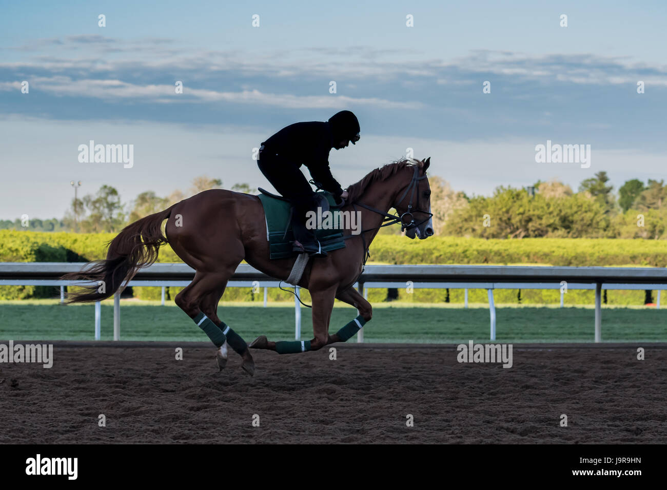 Morning Workouts on Dirt Track with jockey silhouette Stock Photo - Alamy