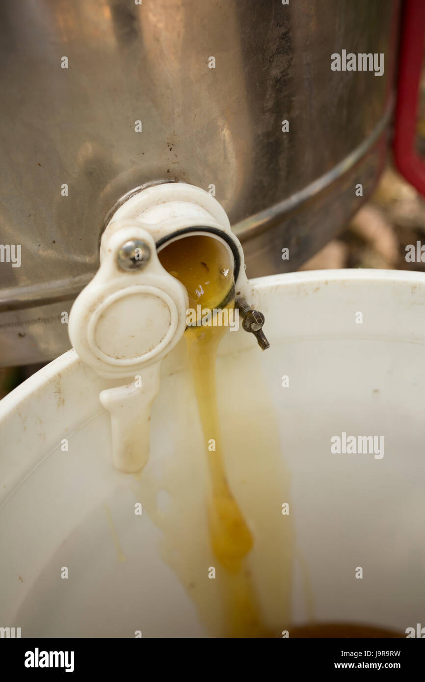 Extracted honey hi-res stock photography and images - Alamy