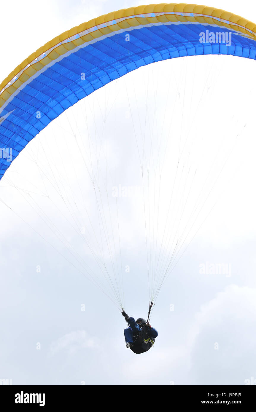 blue, humans, human beings, people, folk, persons, human, human being ...