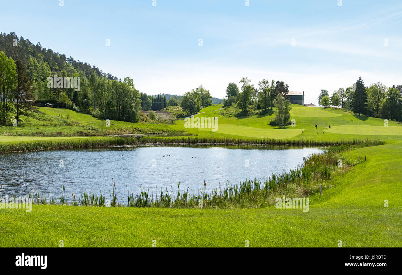 Golf course with green and pond, green and blue colors Stock Photo - Alamy