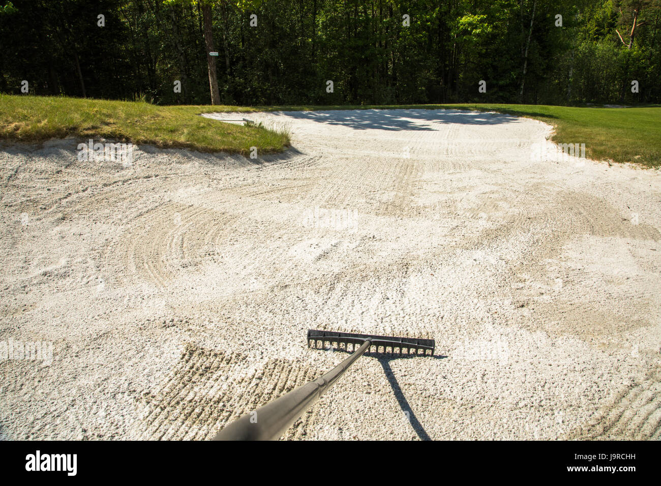golf trap, golf bunker with sand rake, raking the sand on a sunny day ...