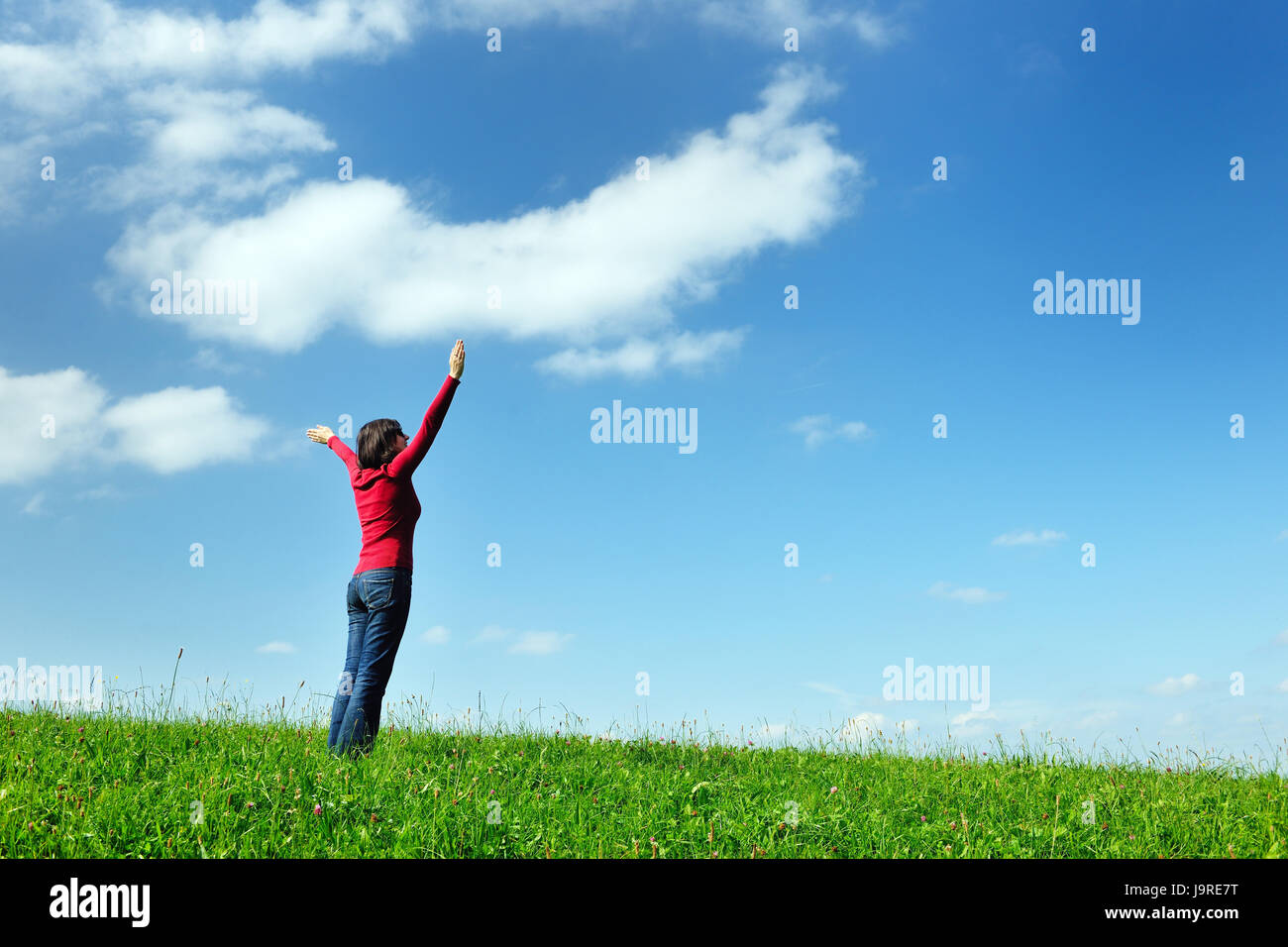 woman, blue, humans, human beings, people, folk, persons, human, human ...