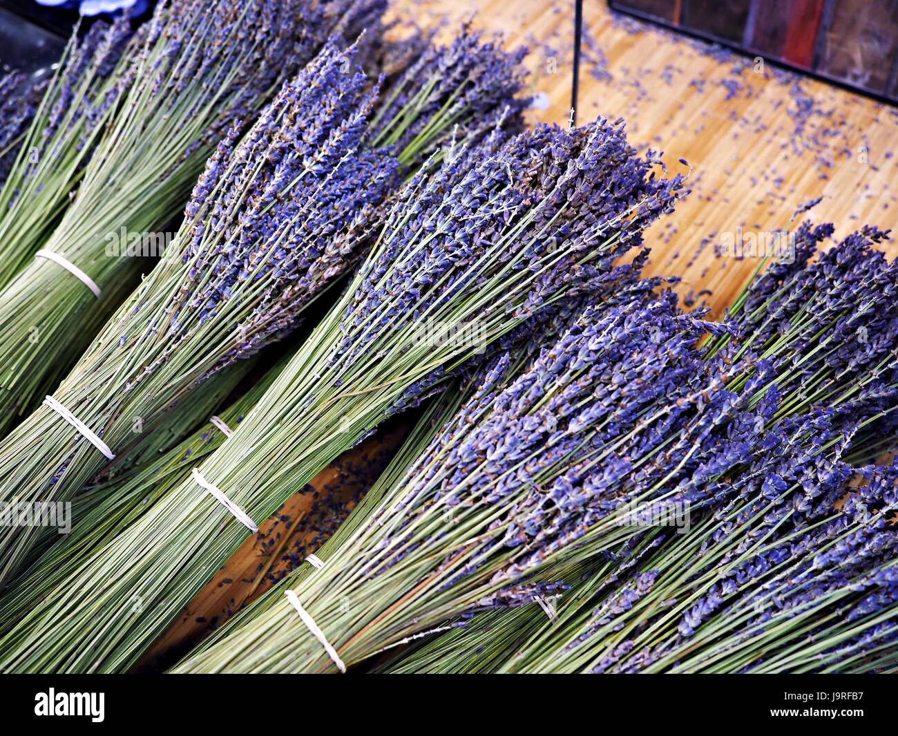 Bunch, bouquet of fresh lavender flowers, cut put on a wooden desk ...
