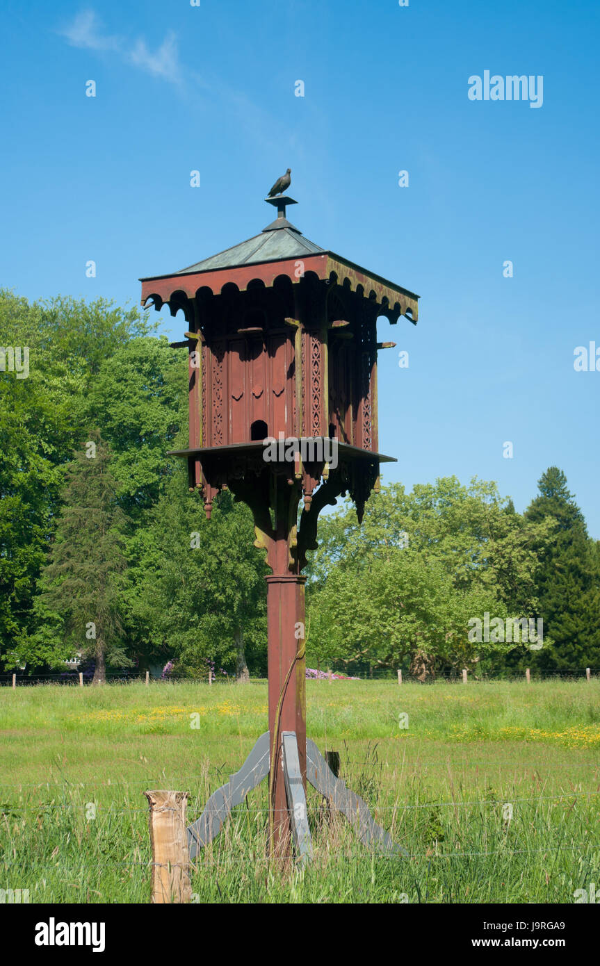 bird, wood, nest, protect, protection, nature, house, building, animal ...