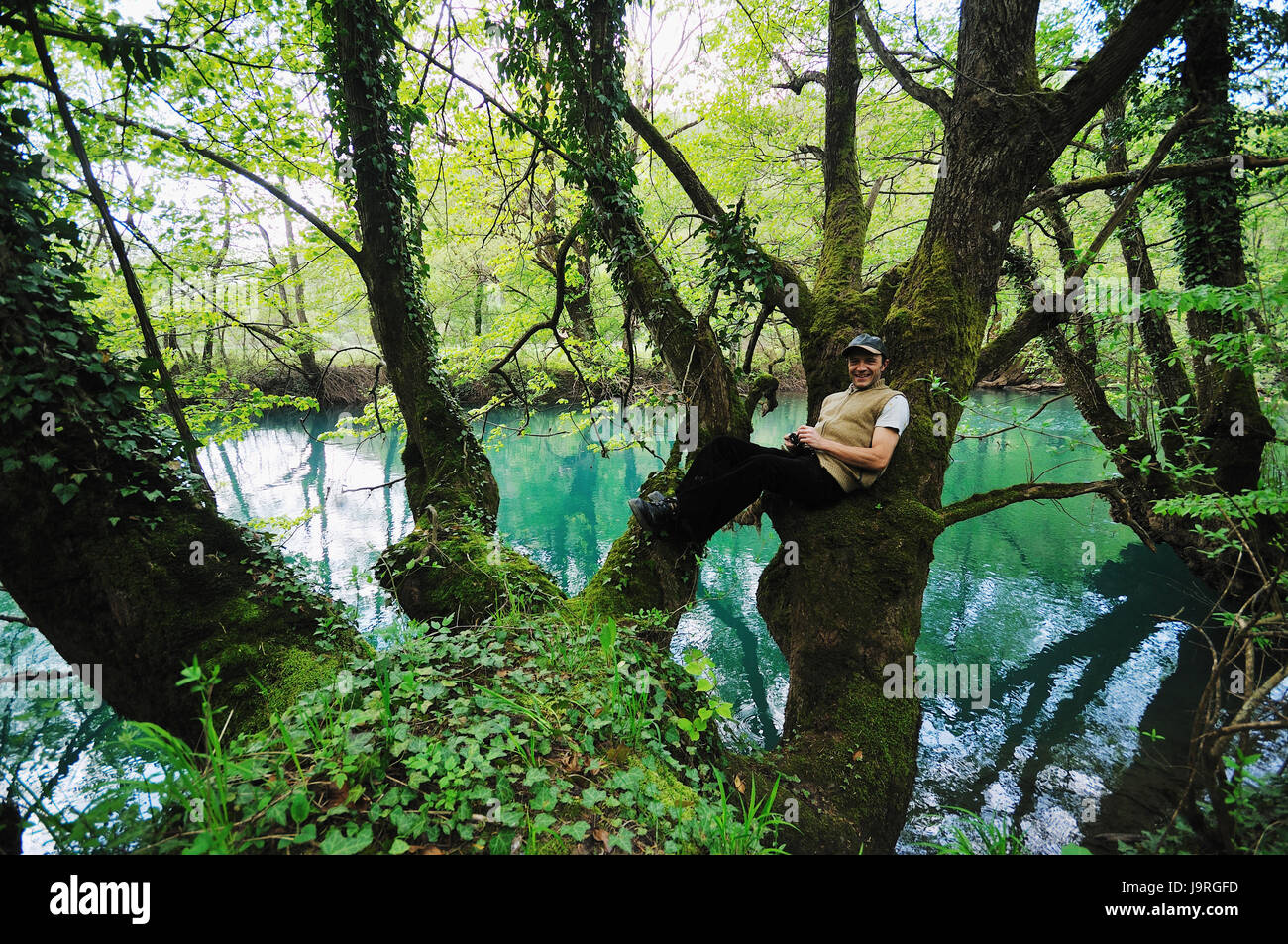 humans, human beings, people, folk, persons, human, human being, men ...