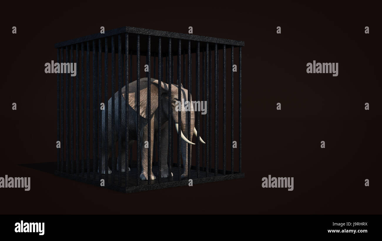 elephant in cage. 3d rendering Stock Photo - Alamy