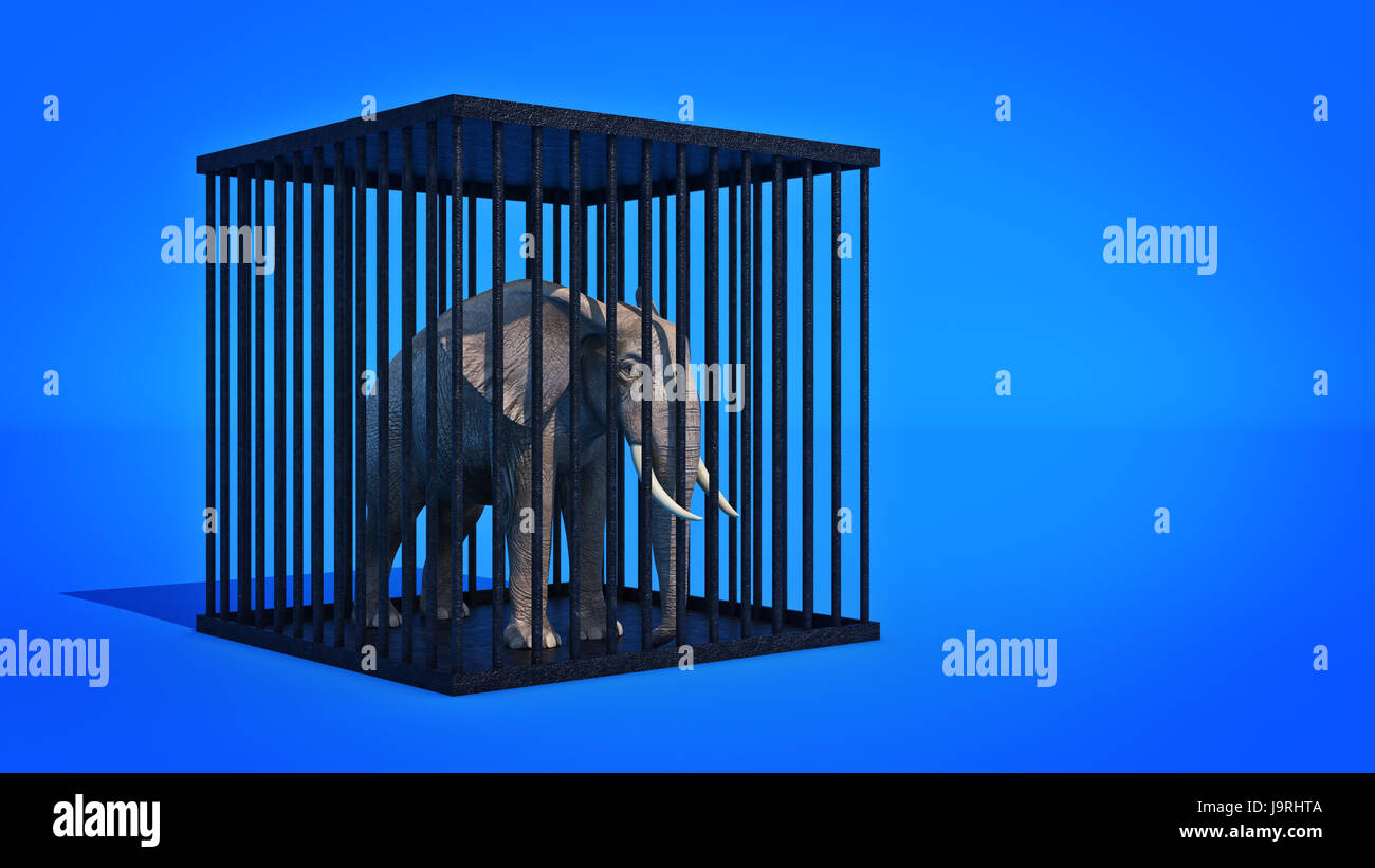 elephant in cage. 3d rendering Stock Photo - Alamy