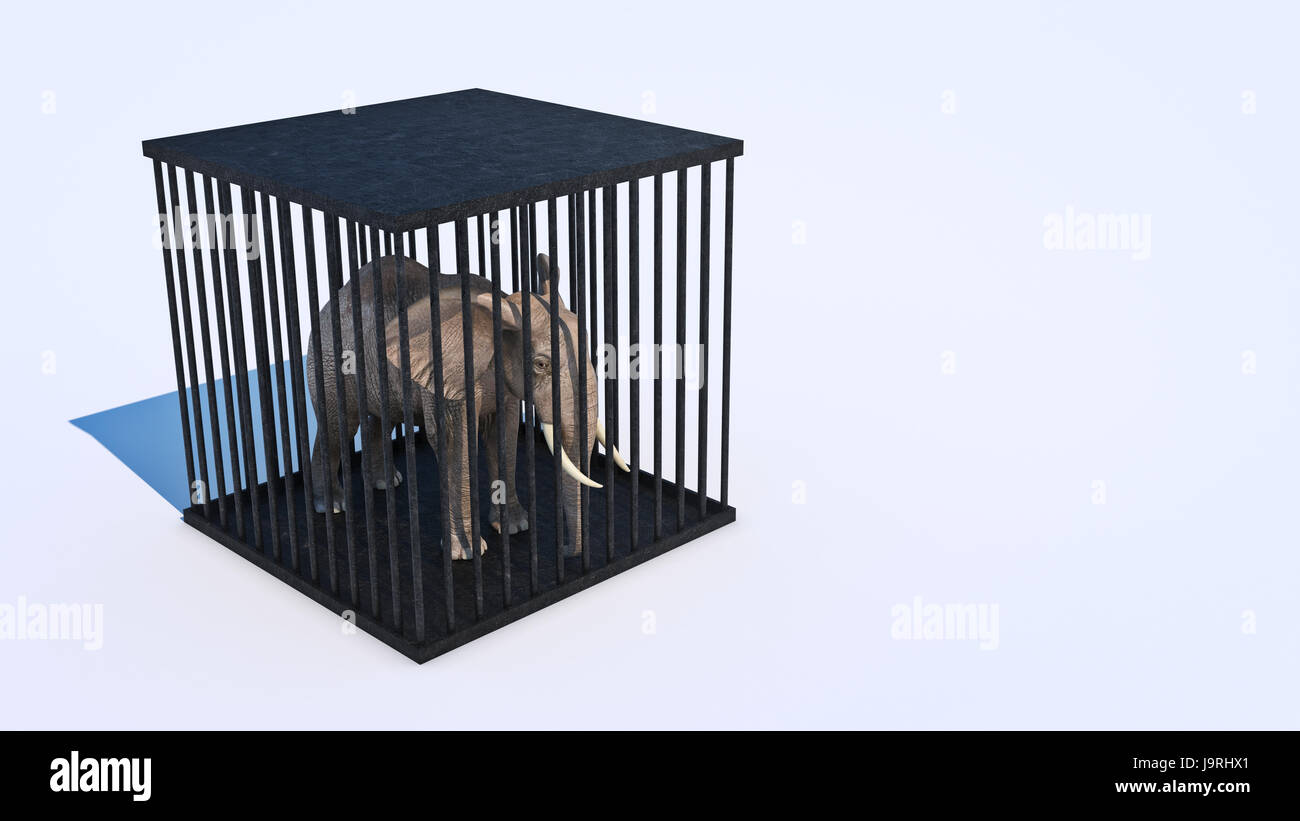 elephant in cage. 3d rendering Stock Photo - Alamy