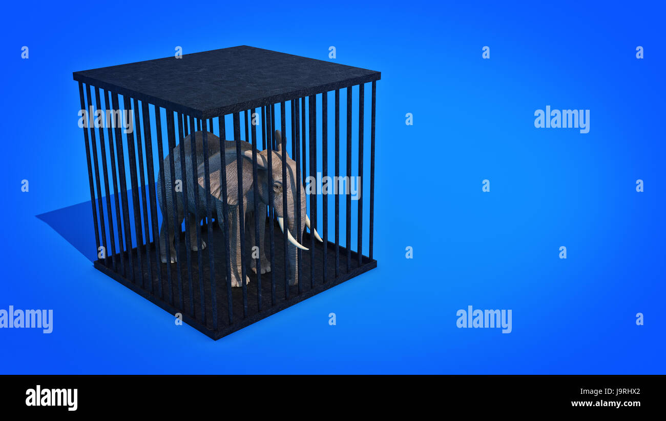 elephant in cage. 3d rendering Stock Photo - Alamy